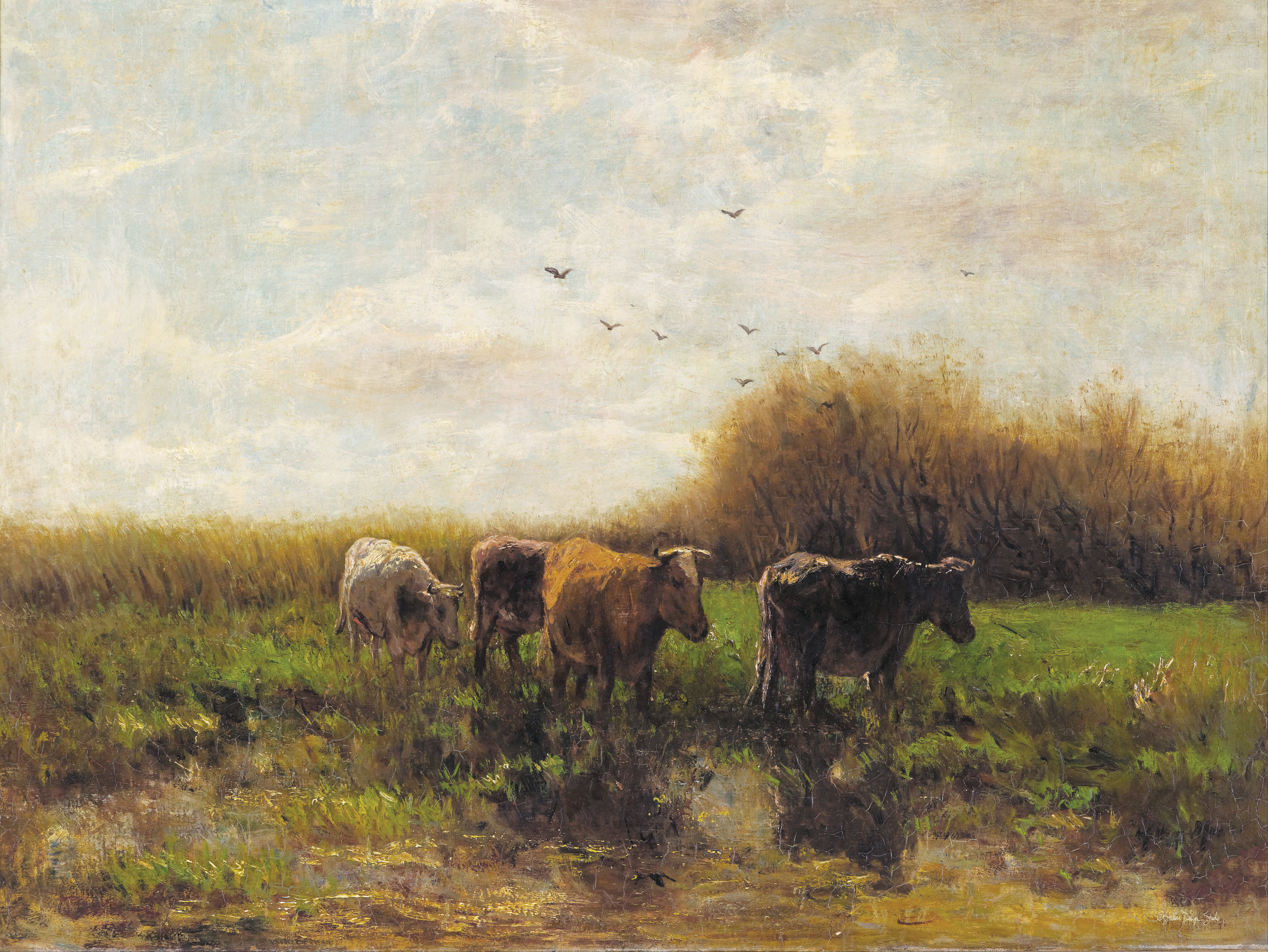 August Grove® Cows At Sunset by Stellar Design Studio | Wayfair